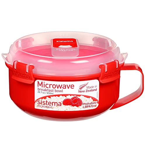 The Best Microwave Bowls - Spruce Up